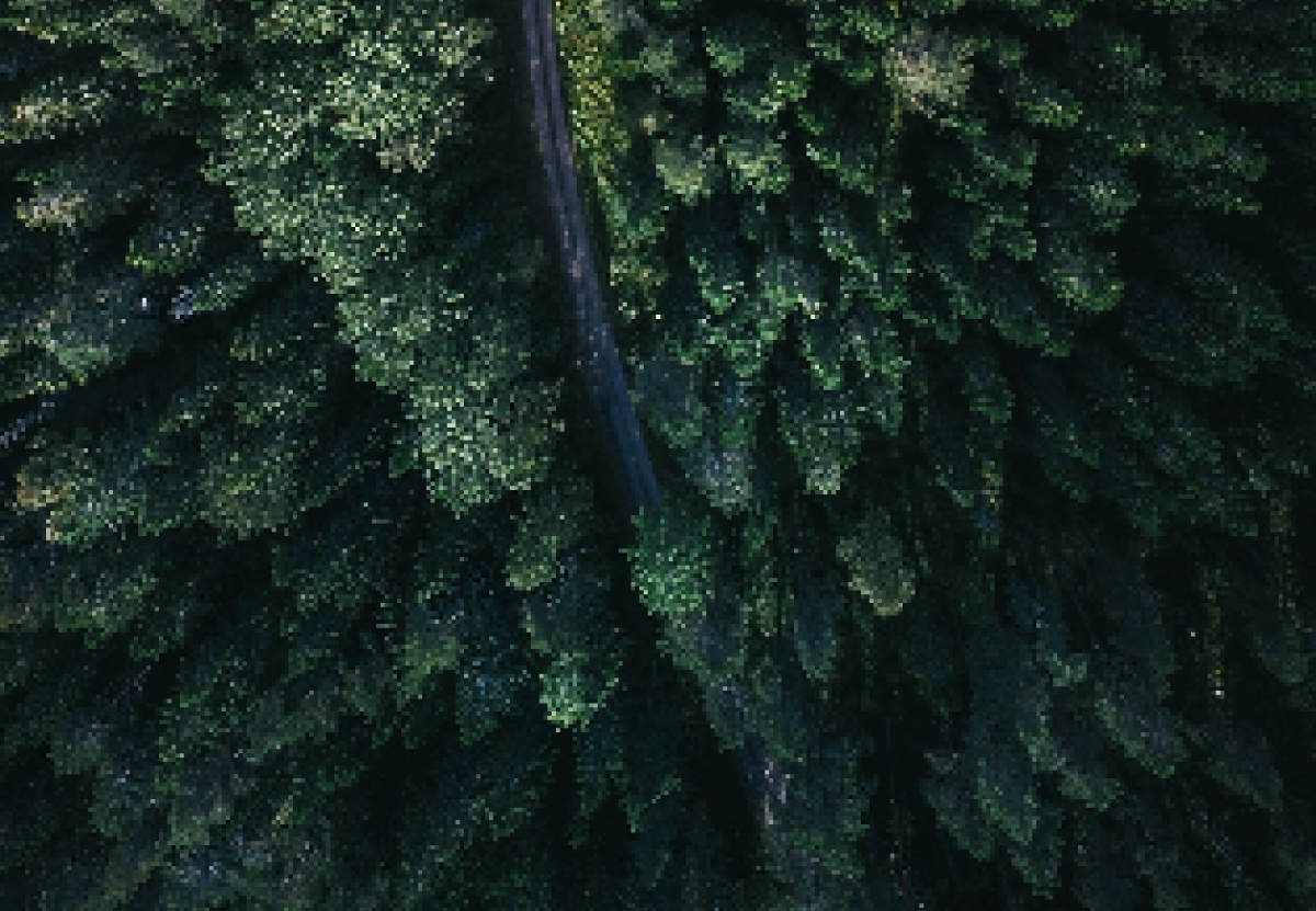 Dubai Future Foundation launches special COP28 edition of Global 50 ...